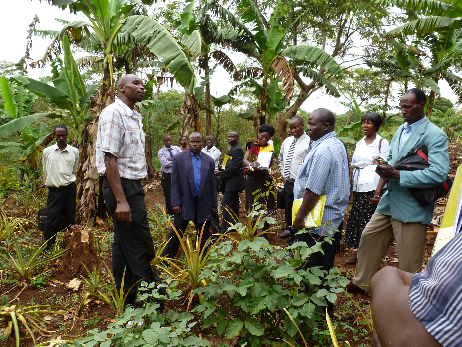 Uganda Farms